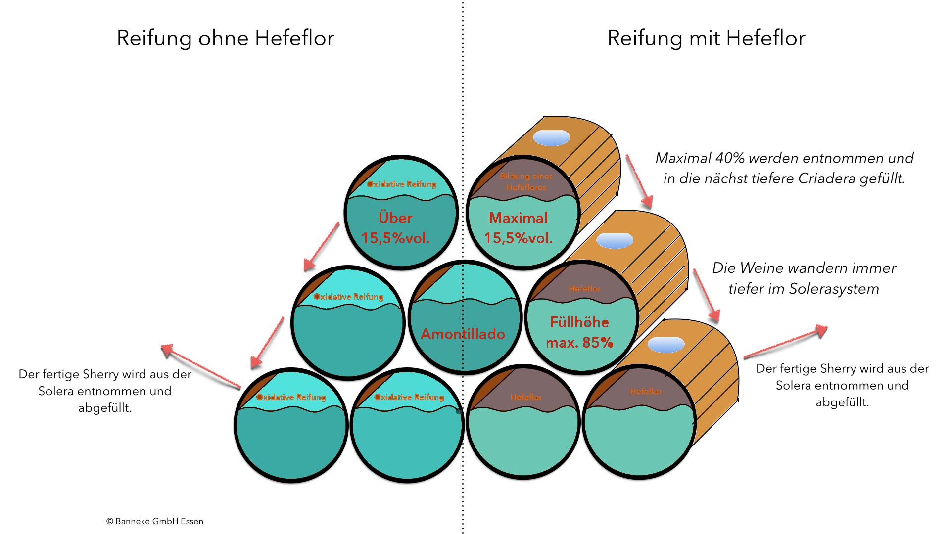 Метод солера